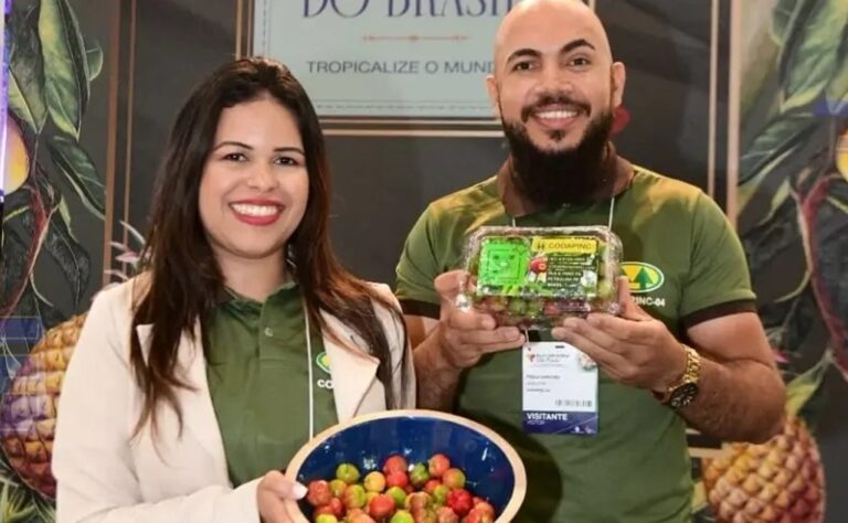 Frutas brasileiras conquistam novos mercados internacionais - Montanhas Capixabas